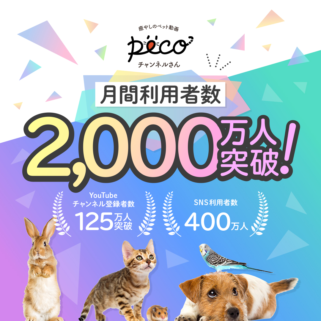 国内最大級のペット専門メディア「Peco」が、月間利用者数2,000万人突破！ | 株式会社PECO（ペコ）